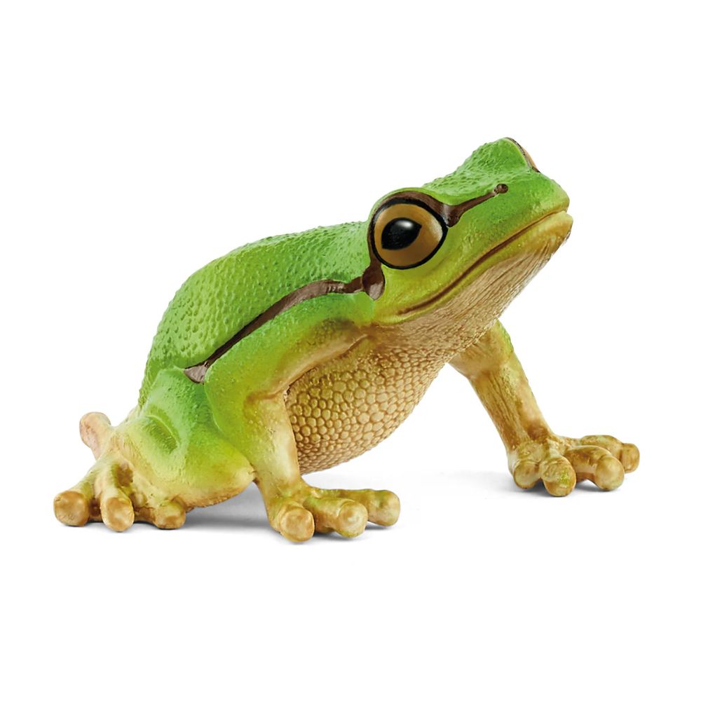 Schleich European Tree Frog – Kol Kid